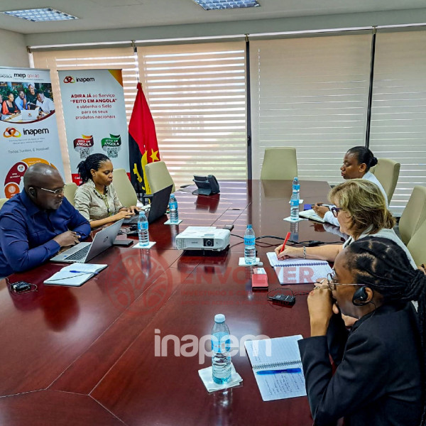 Projecto Diversifica Mais reúne INAPEM e Especialista do Banco Mundial
